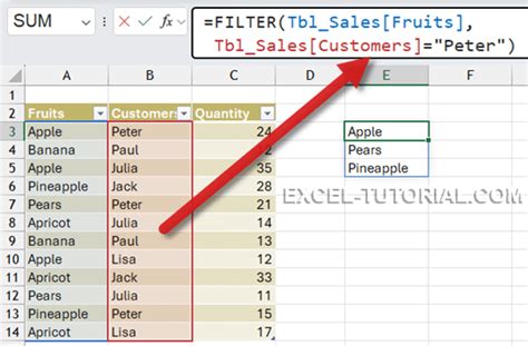 使用函数在 Excel 中构建 FILTER 函数