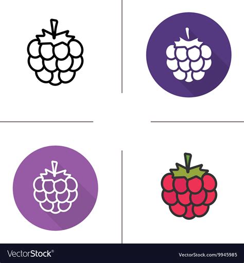 Raspberry Icons Royalty Free Vector Image Vectorstock