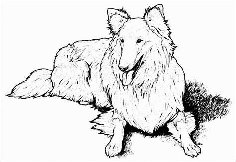 Puppies Coloring Pages Coloringbay