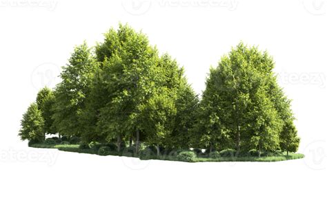 Page 2 Tree Line Pngs For Free Download