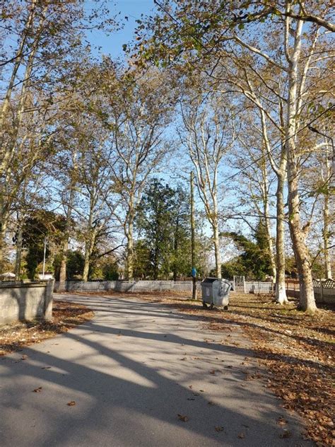 ონოღია მშვიდად განისვენეთ 🙏🥺 ️