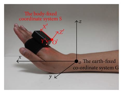 Orientation Coordinate System Download Scientific Diagram
