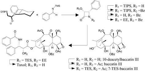 Molecular Cloning And Heterologous Expression Of The C 13
