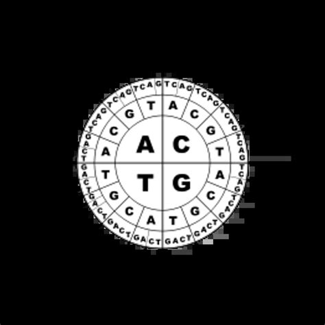 Genetic Code Free Clipart Download Freeimages