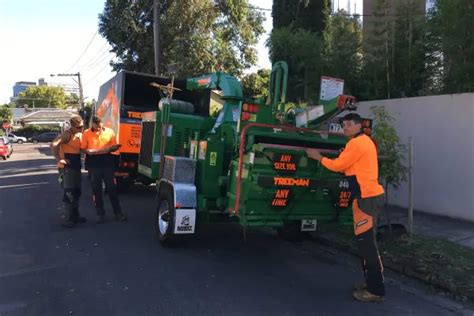 Tree Pruning Melbourne Tree Pruning Services The Mornington Peninsula