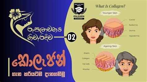 රූපලාවන්‍ය නිවැරදිව Episode 02 කොලැජන් ගැන හරියටම දැනගනිමු Youtube