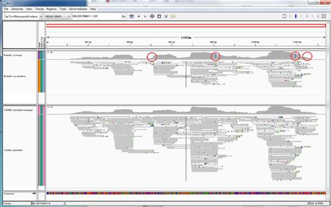 visualization of the optimized read alignment read alignment on