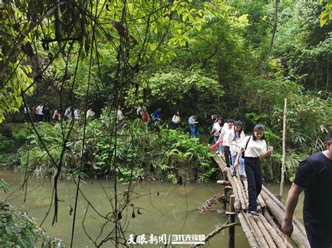 美丽红色村庄成国庆游客打卡地！“红色文化＋村集体经济”带火乡村游娄山关白垛乡社区