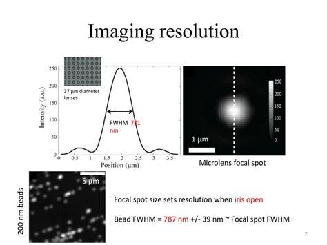 Ppt High Throughput Microscopy With A Microlens Array Powerpoint Presentation Id 2059311