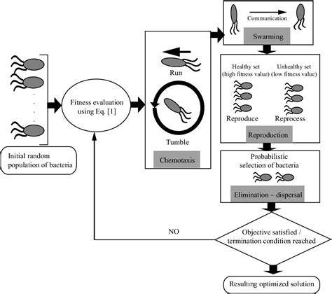 figure 3 from image contrast enhancement using histogram equalization