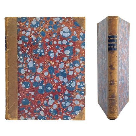 Lot 381 Mammalian Nervous System