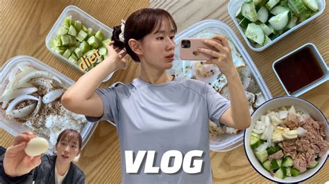 Vlog 다이어트 브이로그 I 직장인 다이어트 도시락 레시피🍱 건강하고 맛있게 Pt까지 뽀개본다 I 간장 오이 비빔밥 퇴근 후 헬스 단백질템 추천 Youtube