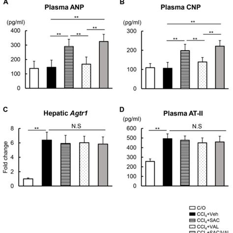 Plasma Anp Cnp And At Ii Levels And Hepatic At1r Expression A Download Scientific Diagram