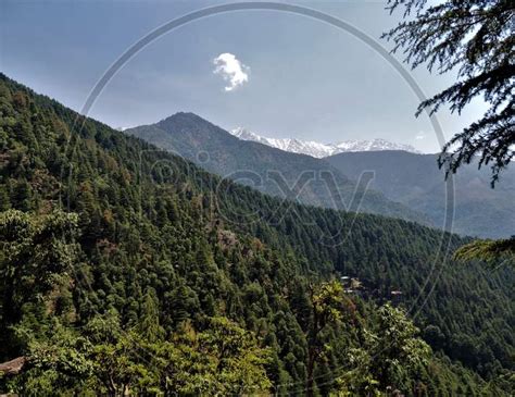 Image Of A View Of The Dhauladhar Range Vq428149 Picxy