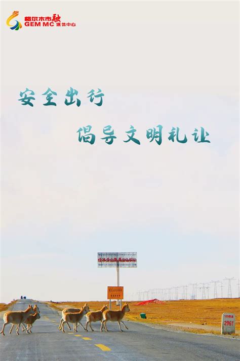 一起来了解 家庭安全隐患如何预防 澎湃号政务 澎湃新闻 The Paper