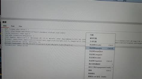 Ctfhub技能树协议（请求方式）ctfhub 请求方式 Csdn博客