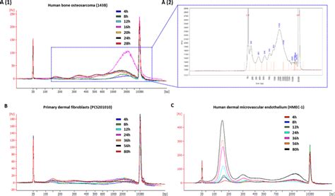 Cell Free Dna Was Isolated Directly From Cell Culture Supernatants And