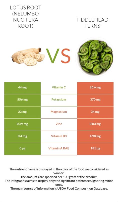 Lotus Root Vs Fiddlehead Ferns — In Depth Nutrition Comparison
