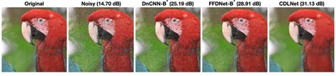 Ab Performance Of Different Color Denoising Networks Trained On σ