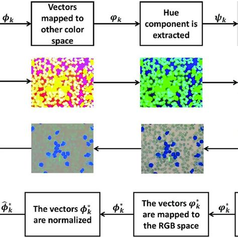 Flow Chart Of Proposed Segmentation Methodology To Maximize The Download Scientific Diagram