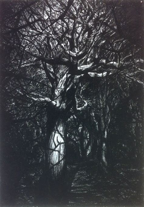 Dark Tree Oil Pastel Drawing Texture Chiarascuro