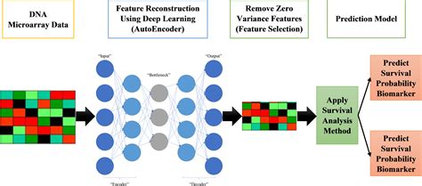 a novel deep autoencoder based survival analysis approach for microarray dataset [peerj]