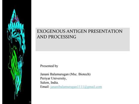 Exogenous Antigen Presentation And Processing Pptx