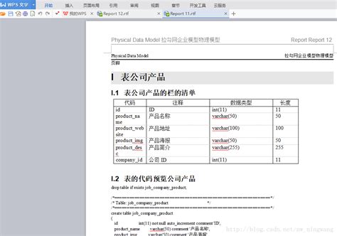 Powerdesigner165详细操作【生成数据字典】 Csdn博客