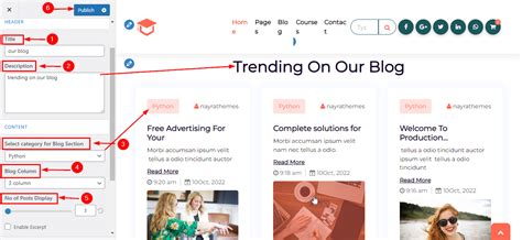 manage blog section in frontpage1 help nayra themes