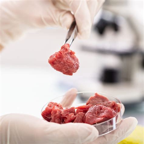 Lab Grown Meat To Hit Us In 2022 Backed By Fda And Usda Along With