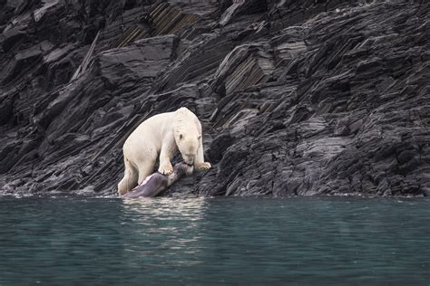 Земля Франца Иосифа