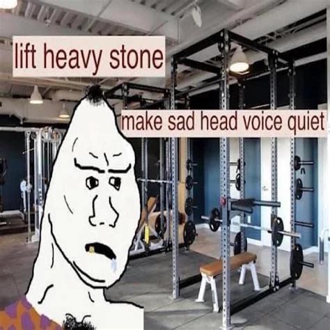 I Mean It Works Sometimes Rtrollcoping