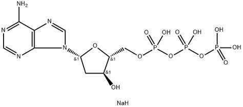 54680 12 5 2 Deoxyadenosine 5 Triphosphate Trisodium Salt Ulchoulcho Expert In