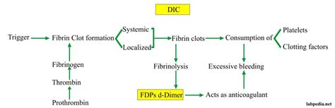Fibrinogen Degradation Products Fdp Or Fibrin Split Products Fsp