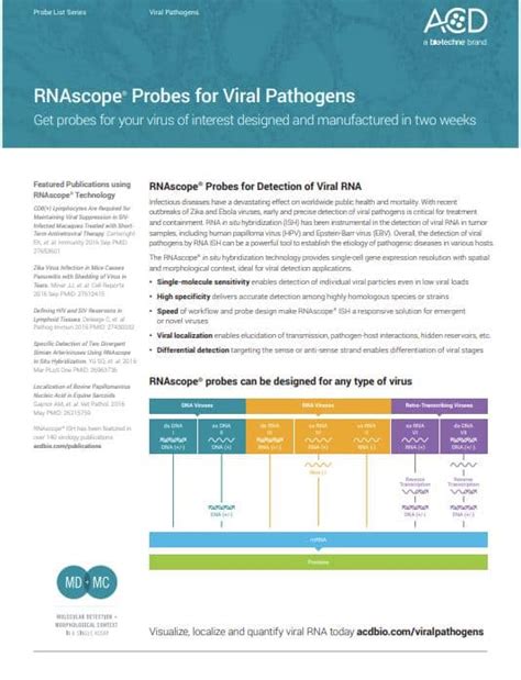 Rnascope Probes For Viral Pathogens