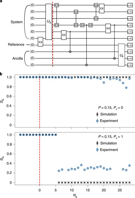 Model And Purification Dynamics A Schematic Of A Circuit With L 6 Download Scientific