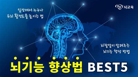 일상에서 누구나 할 수 있는 뇌 기능 향상법 Best5｜뇌잘알이 알려주는 머리 좋아지는 법 Youtube