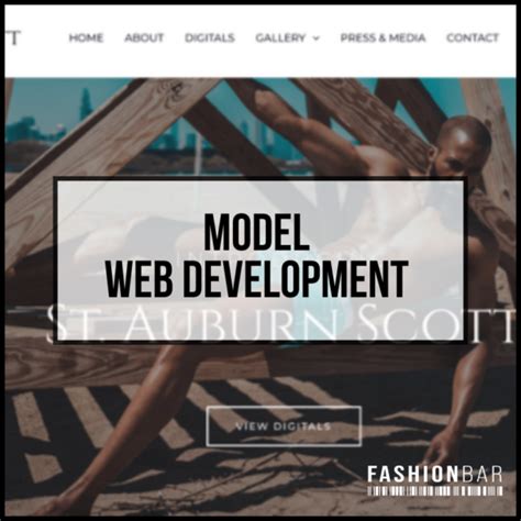 Model Web Development Fashionbar Chicago