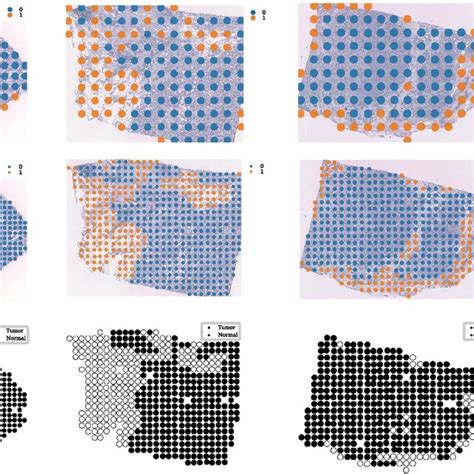 comparison of results using shift predict and clustering on