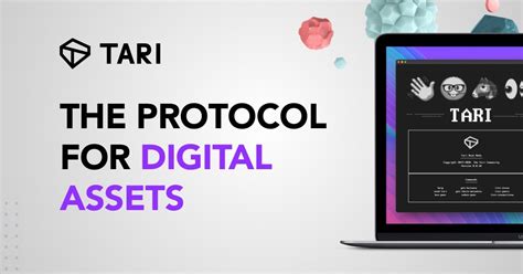 setting up your development environment