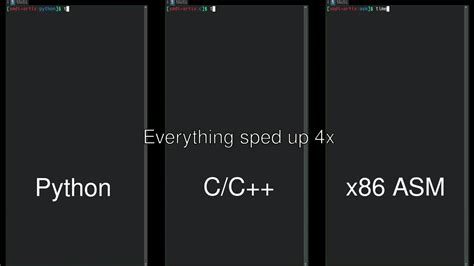 Mohammad Dinarvand On Linkedin Python Vs Ccpp Vs Assembly