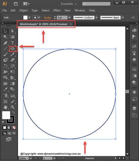using the mesh tool in illustrator dynamic web training