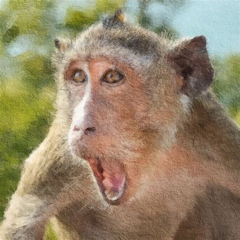 Cute Monkey Head Cartoon On White Background Stock Illustration