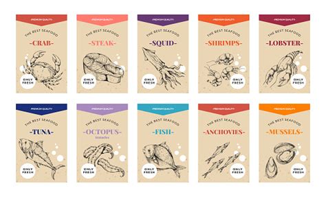 해산물 라벨 빈티지 음식 스케치 해양 랍스터 레트로 새우 고등어와 오징어의 배지 디자인 연어 생선 스테이크 조각 포장 스티커 세트 벡터 일러스트 레이 션 배경 개체 그룹에