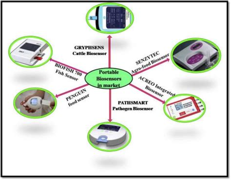 Recent Developments And Their Future Prospects Of Biosensors To Address Download Scientific