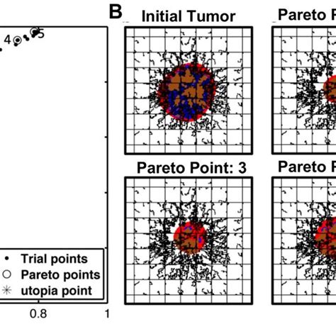 Solution Of The Multiobjective Optimization Problem A Trial Points