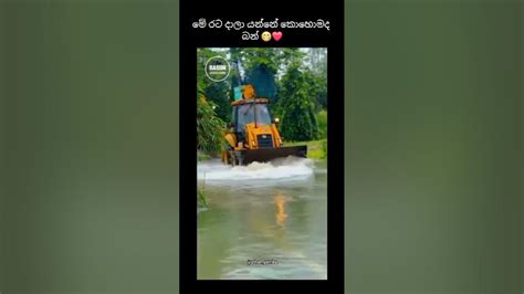 මේ රට දාලා යන්නෙ නැති අය කෝ බලන්න Youtube