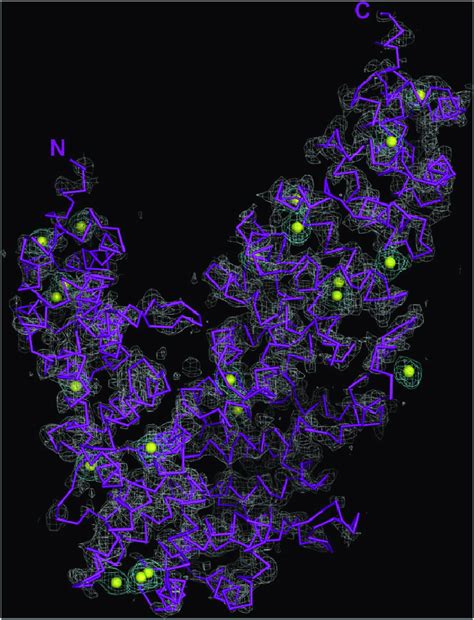 Experimental Electron Density Map Gray Mesh Contoured At S Download Scientific Diagram