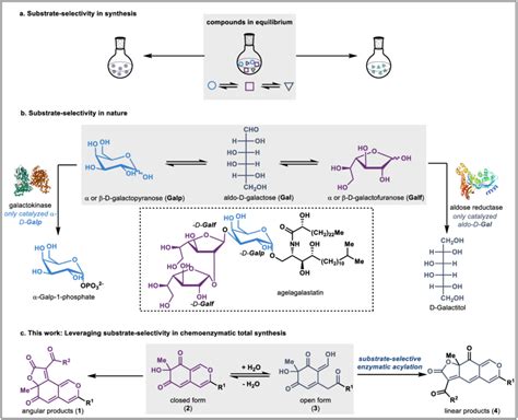 Substrate Selectivity Can Be Used To Effectively And Selectively Make