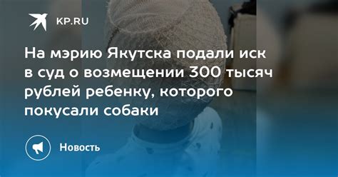 На мэрию Якутска подали иск в суд о возмещении 300 тысяч рублей ребенку которого покусали